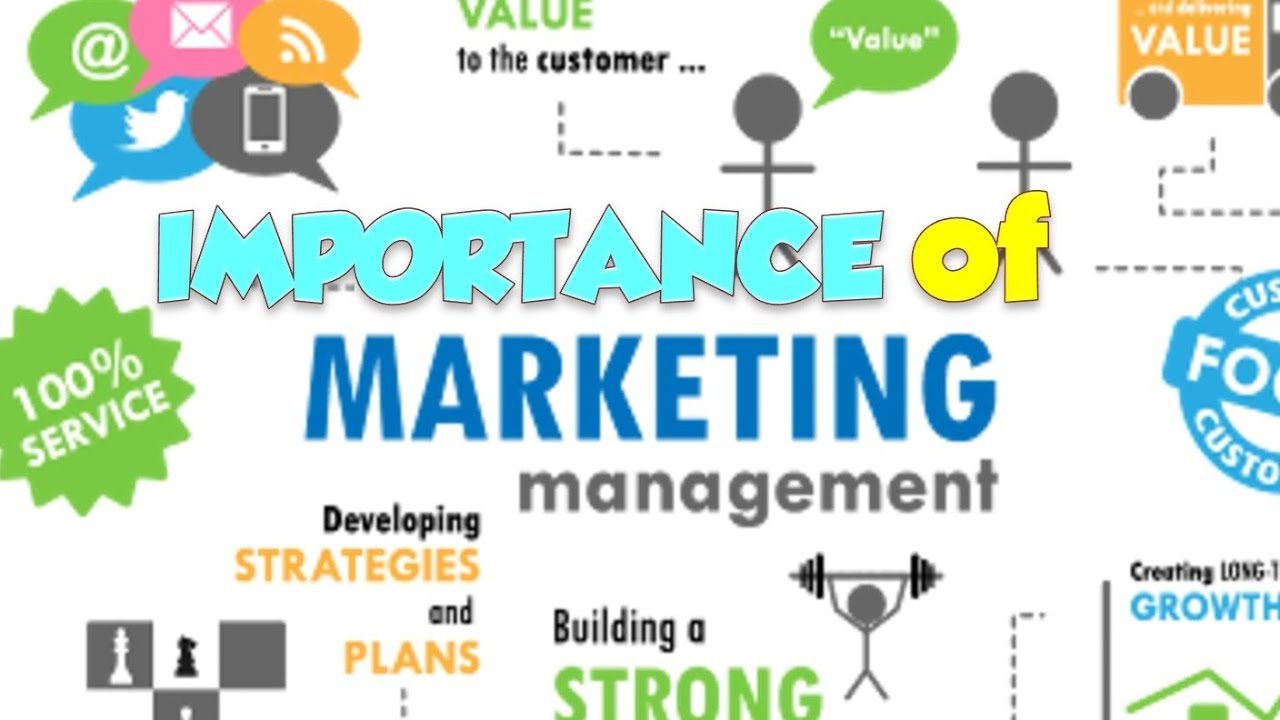 What is the importance of marketing in any business? - D-Max Pro Mart